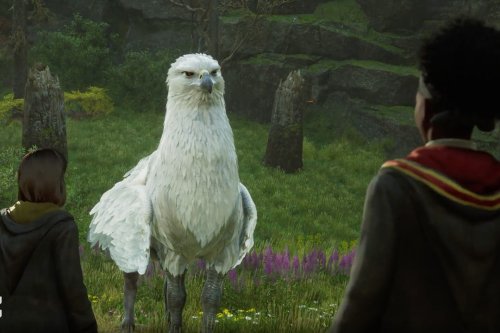Exclusive clip from 'Hogwarts Legacy' recalls Harry's first meeting ...