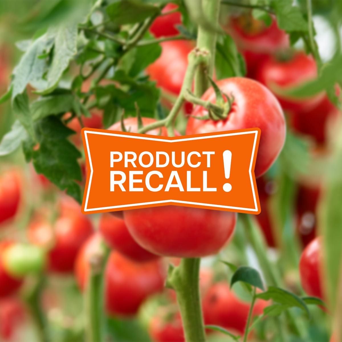 Baked Beans Recall | Flipboard