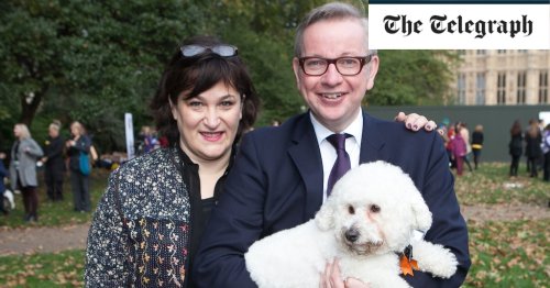 Michael Gove and Sarah Vine split raises Covid distancing questions ...