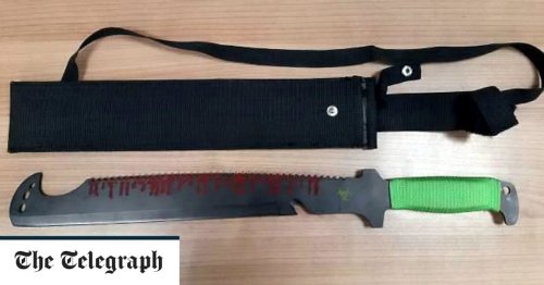 Zombie-style knives and machetes to be banned after gangs exploit ...