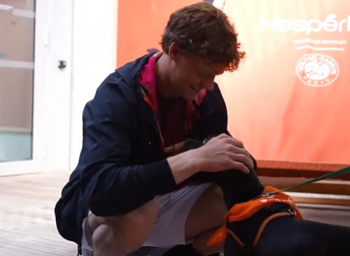 Jannik Sinner enjoys a playful moment with dogs at Roland Garros trying to convince fans to ...