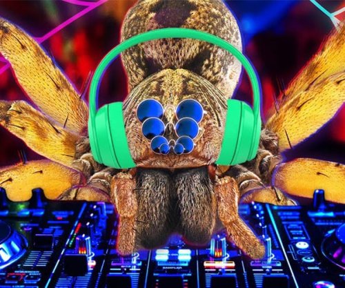 THE AWESOMER | @AwesomerMedia | Flipboard