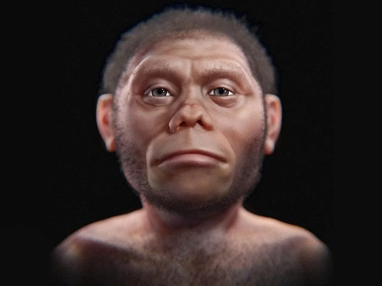 A completely new human species from 100,000 years ago could upend human ...