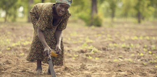 Customary Land Governance Holds In Ghana But Times Are Changing And customary-land-governance-holds-in-ghana-but-times-are-changing-and
