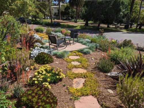 Homeowner Shares Wild Transformation Photos After Ripping Out Their Grass Yard ‘i Dont Know