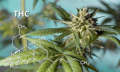 how-many-types-of-thc-are-on-the-market-and-which-one-is-strongest-flipboard