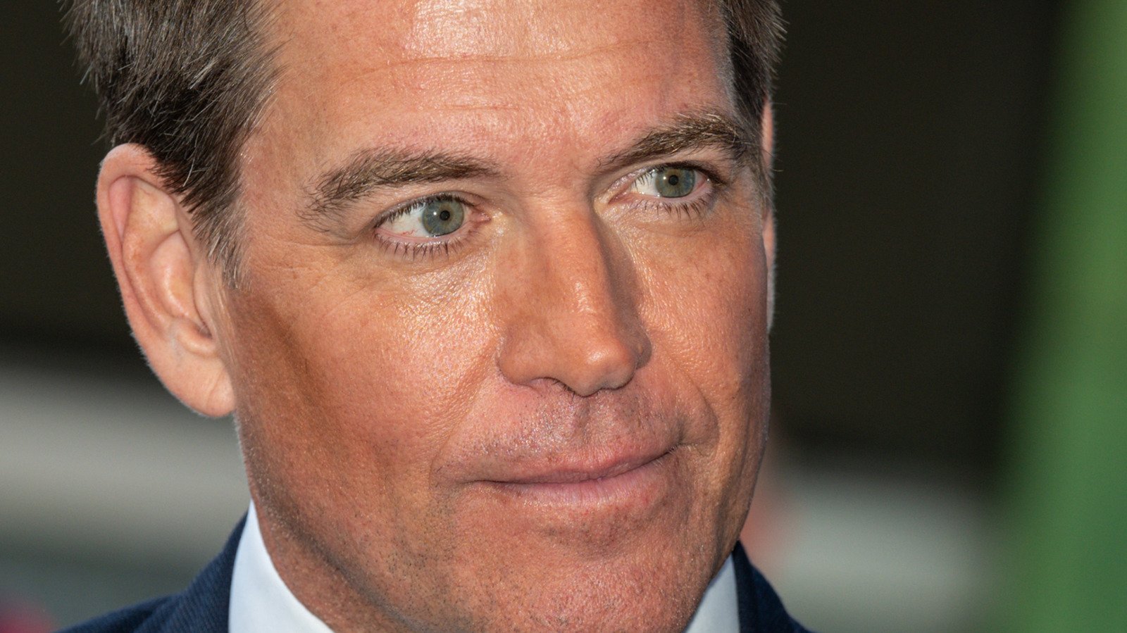 Tragic Details Of NCIS Star Michael Weatherly's Life | Flipboard