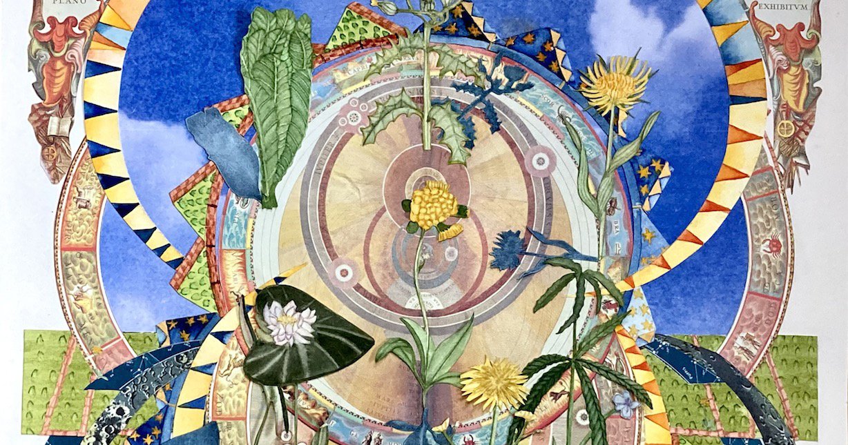 Carl Linnaeus’s Flower Clock | Flipboard