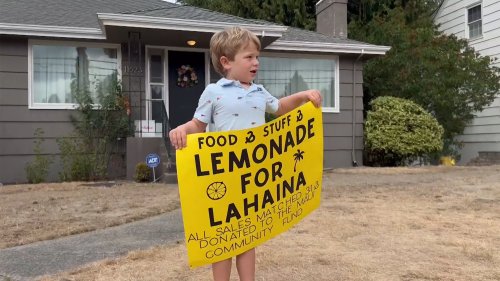 5-Year-Old’s Lemonade Stand Raises Over $16,000 for Maui Fire Victims | Flipboard