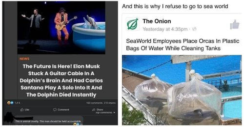 The Poke | @ThePokeHQ | Flipboard