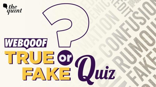 How Much Fake News Did You Fall For? Take Our Quiz and Find Out! | Flipboard