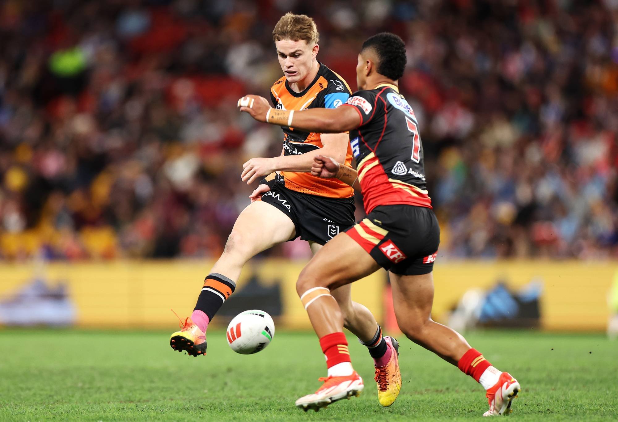 Going to the Dogs: Galvin exits Tigers on immediate switch as Gus tries ...
