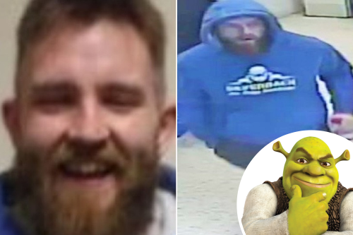 Violent lag known as 'Shrek' jumped out Fife hospital window and fled ...