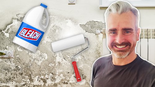 Five key mistakes to avoid when getting rid of mould – including why ... Five key mistakes to avoid when getting rid of mould – including why ...
