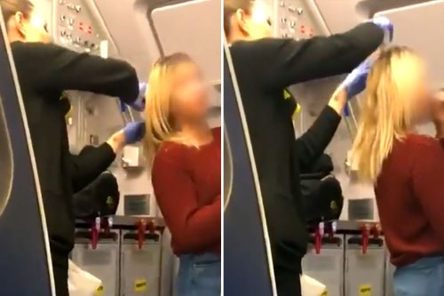 ‘Drunk’ plane passenger vomits in woman’s hair on US flight – forcing ...