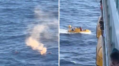 Cruise Ship Passenger Miraculously Survives Steep Fall Off Vessel ...