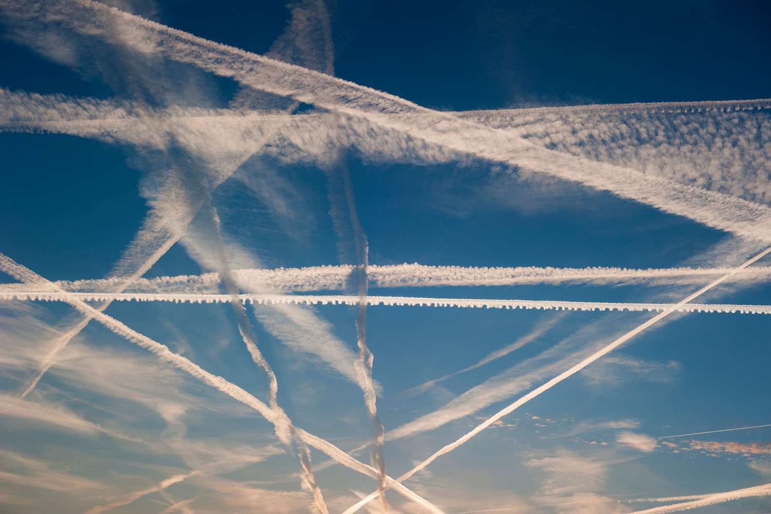 How To Track A Flight In Real Time Crast