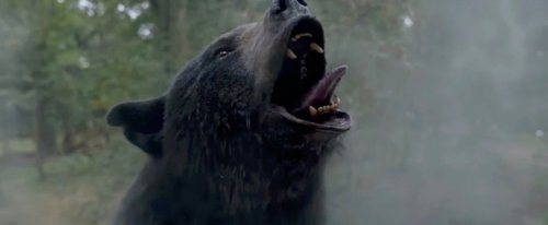 You’ve Heard Of ‘Cocaine Bear,’ Now Get Ready For ‘Attack Of The Meth ...