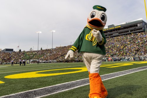 The Oregon Duck once again ranked prominently among top mascots in ...