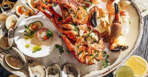 Pappas Restaurants to Introduce New Oyster Bar in Former Little Pappas ... Pappas Restaurants to Introduce New Oyster Bar in Former Little Pappas ...