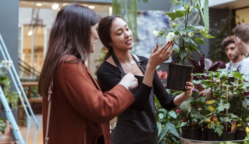How To Organize A Plant Swap Party For Your Friends And Community How To Organize A Plant Swap Party For Your Friends And Community