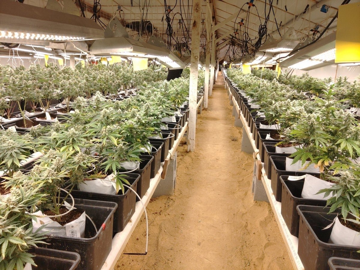 ‘Completely botched’: More than 2 years after legalization, Delaware ...