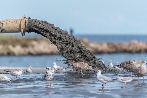 How Many Types Of Pollution Are There Flipboard