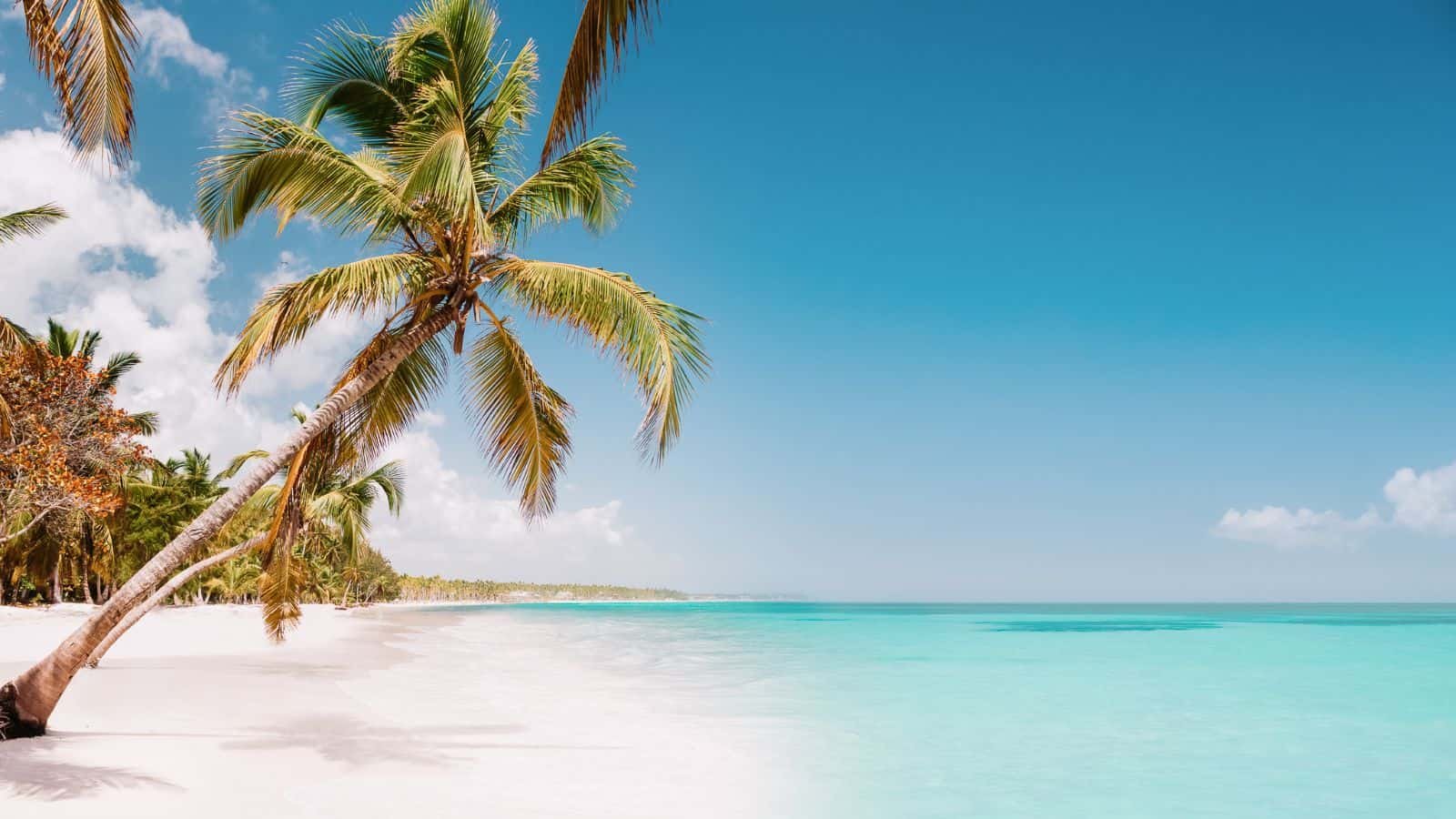 12 Beautiful White Sand Beaches in the World That Should Be on Your ...