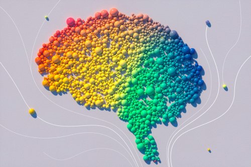 How To Sharpen Executive Functions Activities To Hone Brain Skills How To Sharpen Executive Functions Activities To Hone Brain Skills