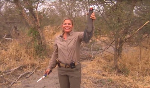 NRA chief Wayne LaPierre's wife Susan killed an elephant and gloated as ...
