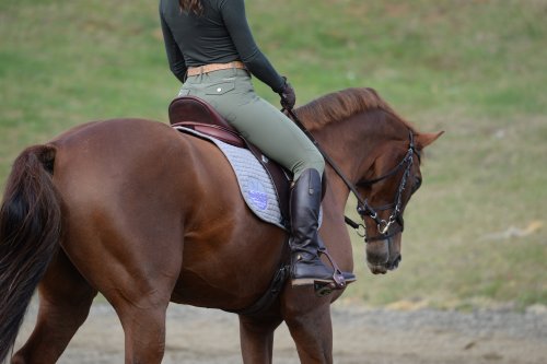 How to ride the perfect shoulder-in to improve your horse’s suppleness ...