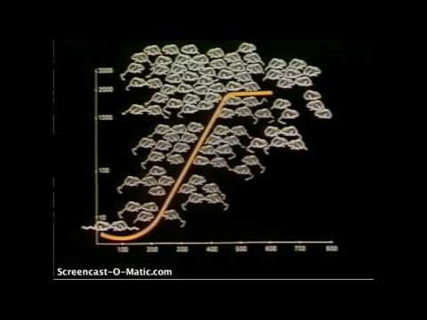 Footage Shows The Infamous Universe 25 Experiment That Turned Into A ...