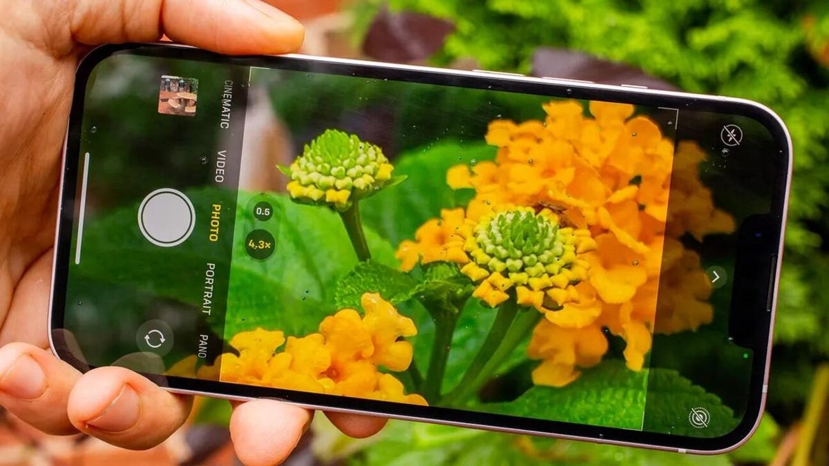 Here s How To Transfer Photos From Your IPhone To Your Windows PC here-s-how-to-transfer-photos-from-your-iphone-to-your-windows-pc